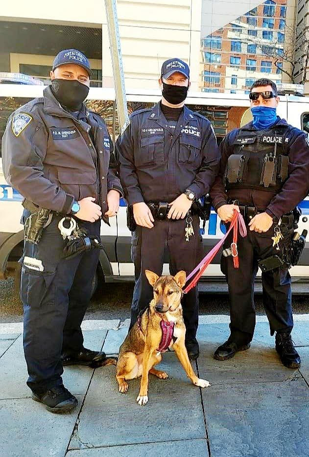 Asiancops.org
